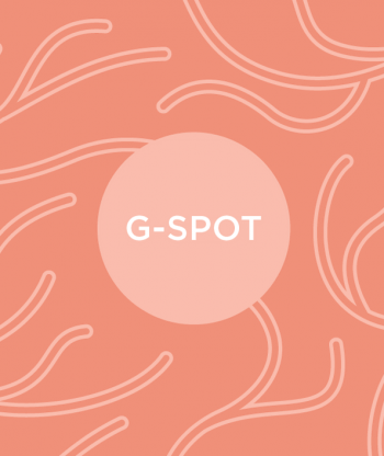 Vulva Anatomy: A Complete Guide to Female External Genitalia | Le Wand